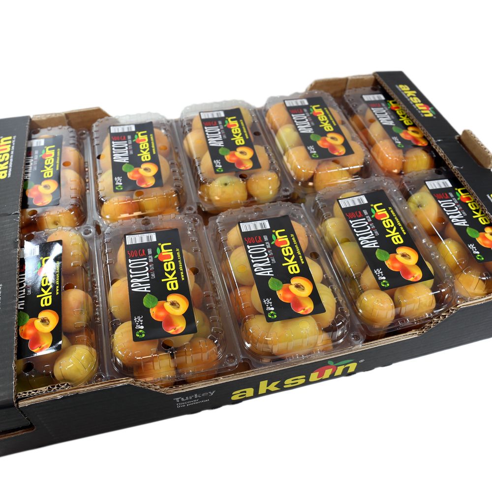 Apricot from Aksun A.S in Turkiye - Social Marketplace | Tridge