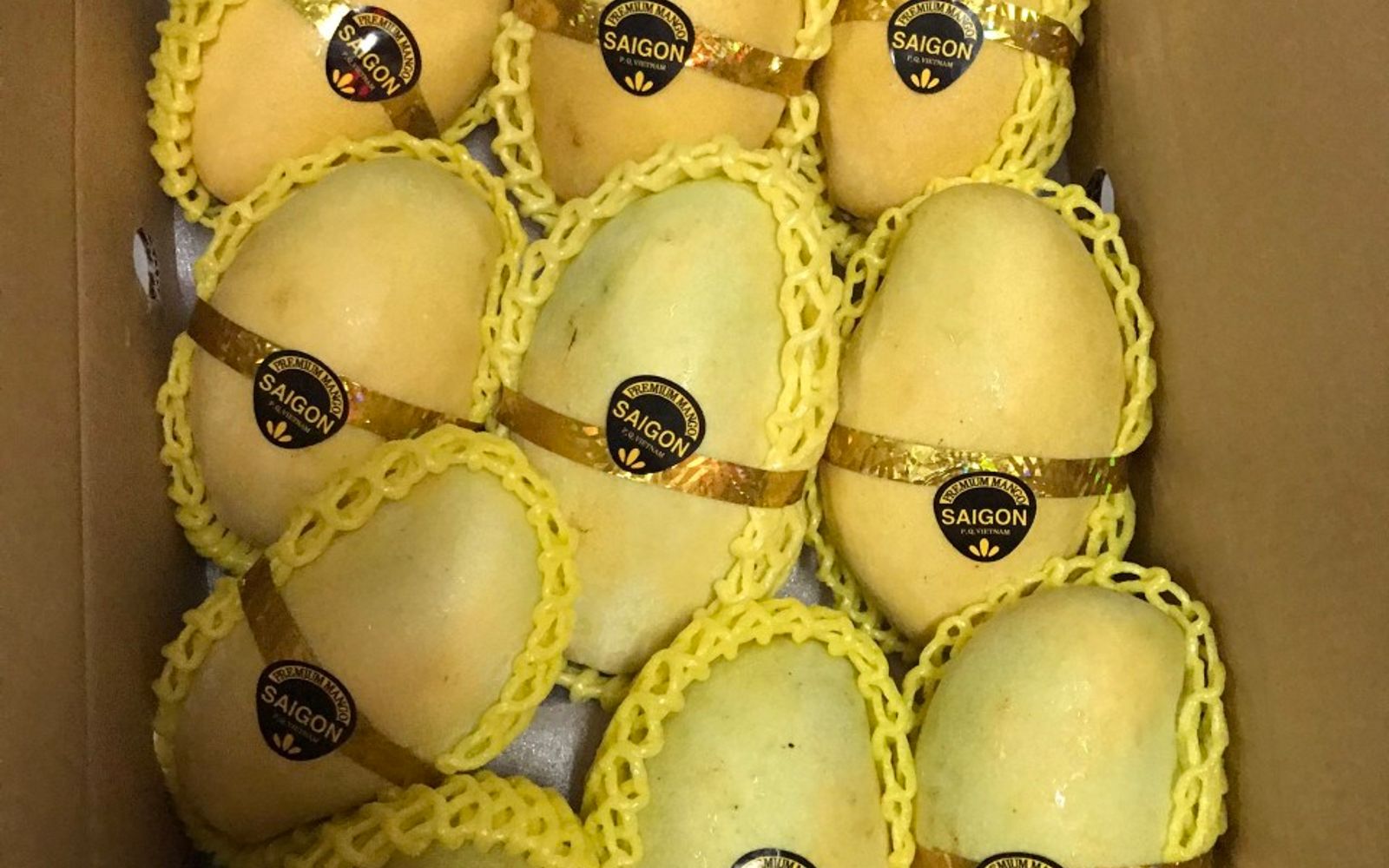 FRESH MANGO from Euro Viet Fresh in Vietnam - Social Marketplace | Tridge