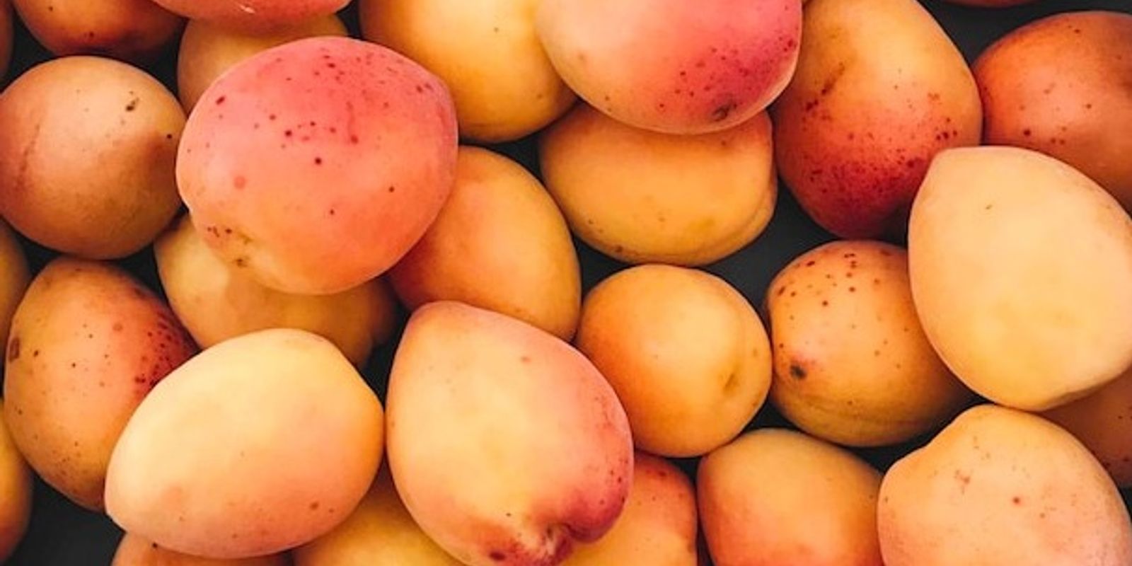 China Fresh Mango market overview 2023