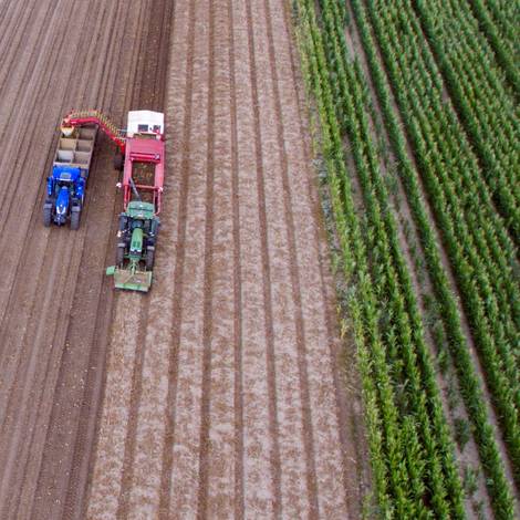 Frederick Hiam Ltd, United Kingdom - Social Marketplace | Tridge