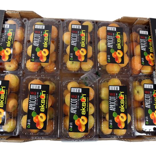 Apricot from Aksun A.S in Turkiye - Social Marketplace | Tridge
