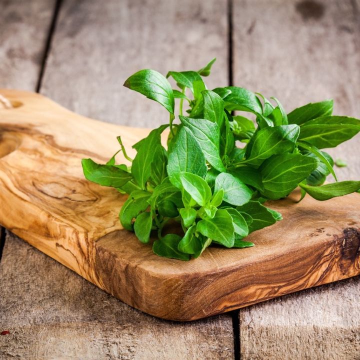 Basil Offers From Egypt