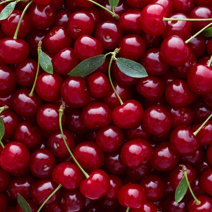 Fresh Sweet Cherry Offers From Turkey - Tridge
