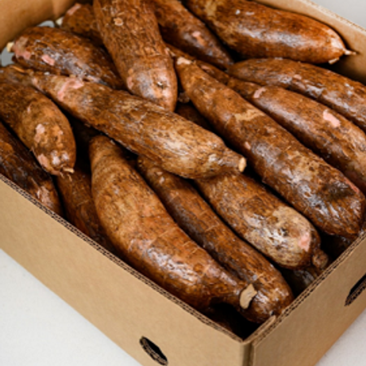 Ofertas de Mandioca (yuca) fresca de Costa Rica - Tridge