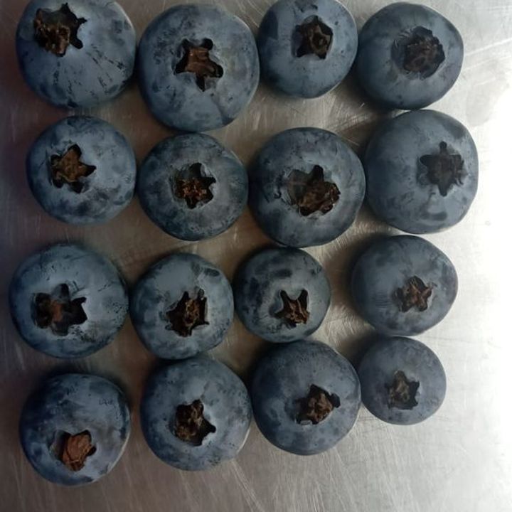 Blueberry Offers From Peru - Tridge