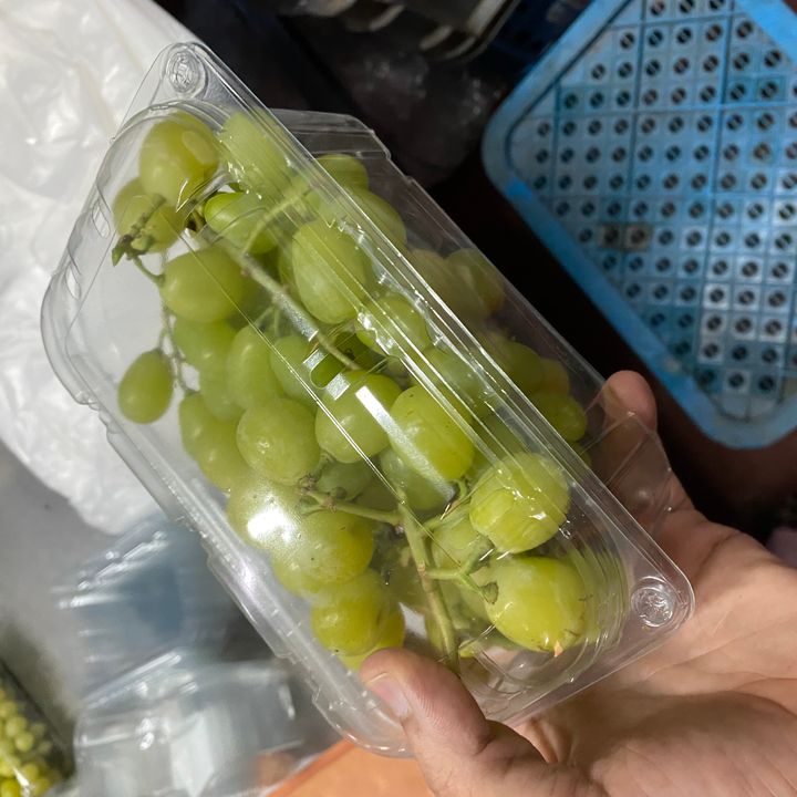 Fresh Table Grape Offers From Morocco