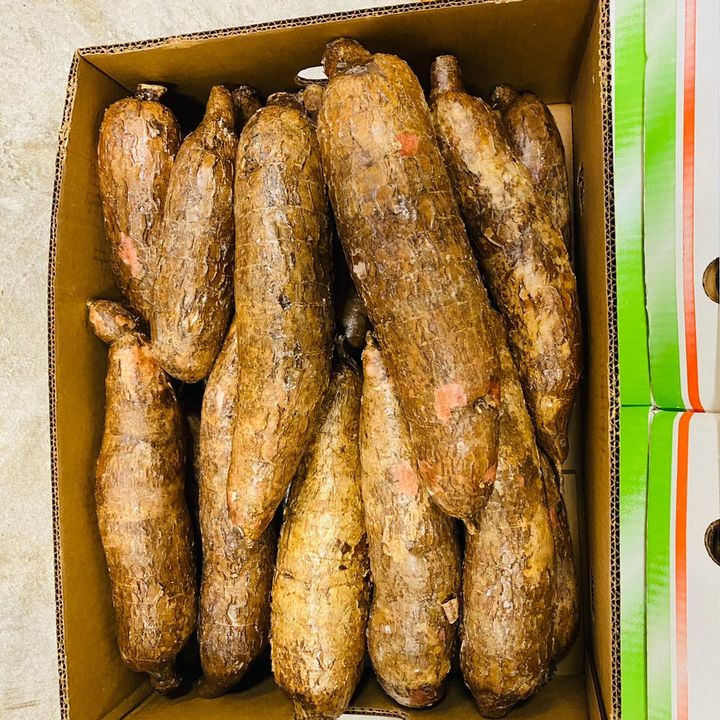 Ofertas de Mandioca (yuca) fresca de Costa Rica - Tridge