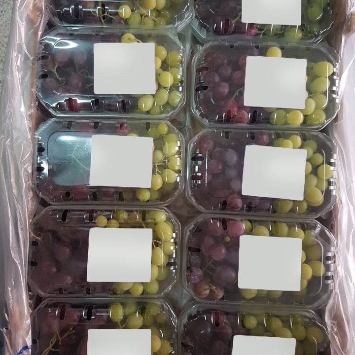 Fresh Table Grape Offers From Morocco