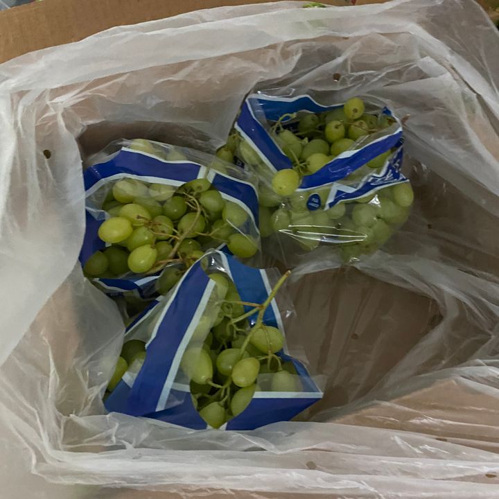 Fresh Table Grape Offers From Morocco