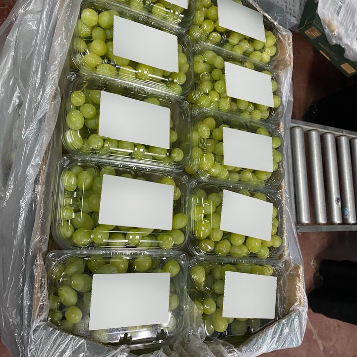 Fresh Table Grape Offers From Morocco