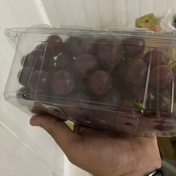 Fresh Table Grape Offers From Morocco
