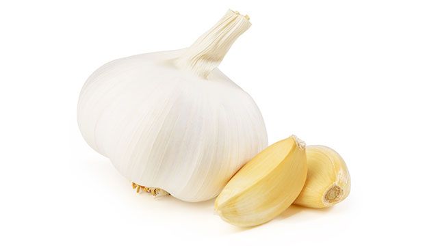 Spring White Garlic from Amefruits SL in Spain - Find Suppliers | Tridge